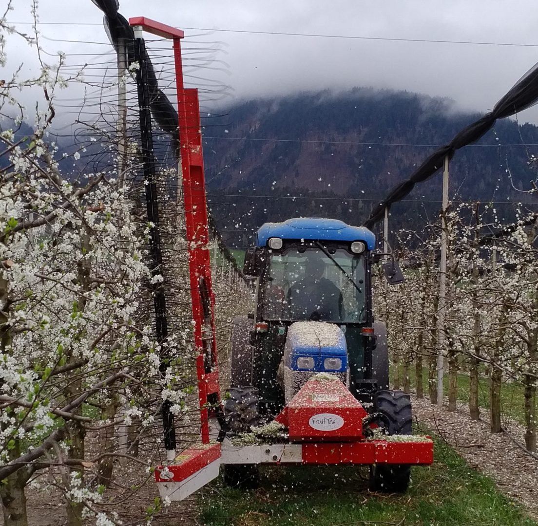 BLOSSOM THINNING MACHINES - FRUMACO - Made in GERMANY